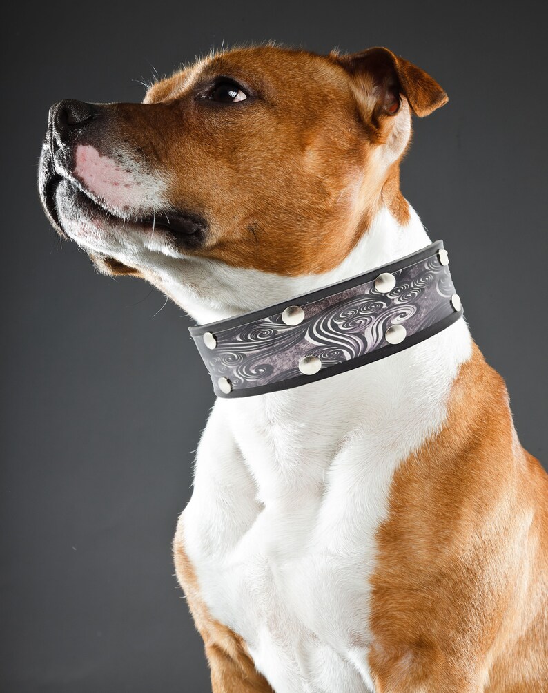 Black Scroll Shiny Leather Metal Dog Collar 2 Inch Wide 96 - Etsy