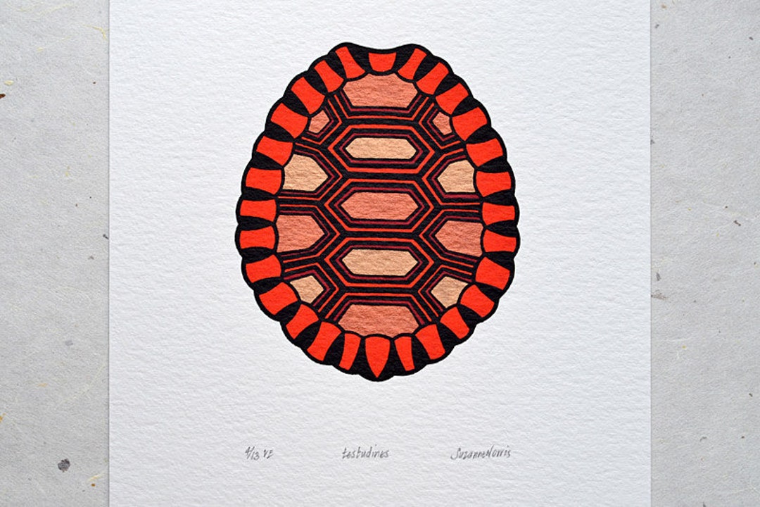 Tortoise Shell / Testudines 'specimen' Limited Edition, Handmade ...