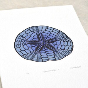 Sand Dollar / Clypeasteroida II 'specimen' dark Limited Edition Three ...