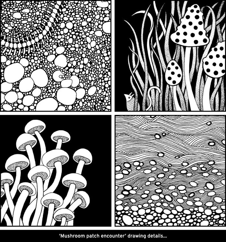 Cross-section Drawing mushroom Patch Encounter Limited Edition ...