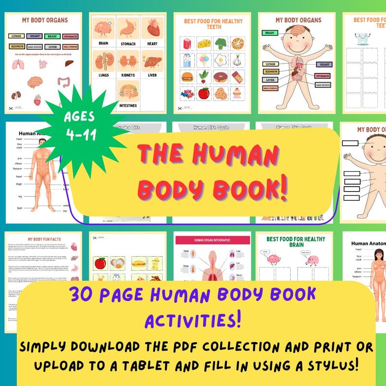 Human Body Book Printable PDF Teacher Preschool Learning Book Kids ...