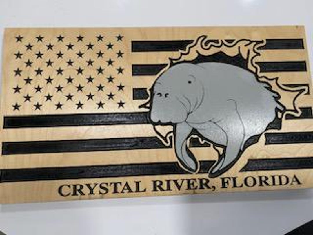 Crystal River Manatee Wood Flag - Etsy