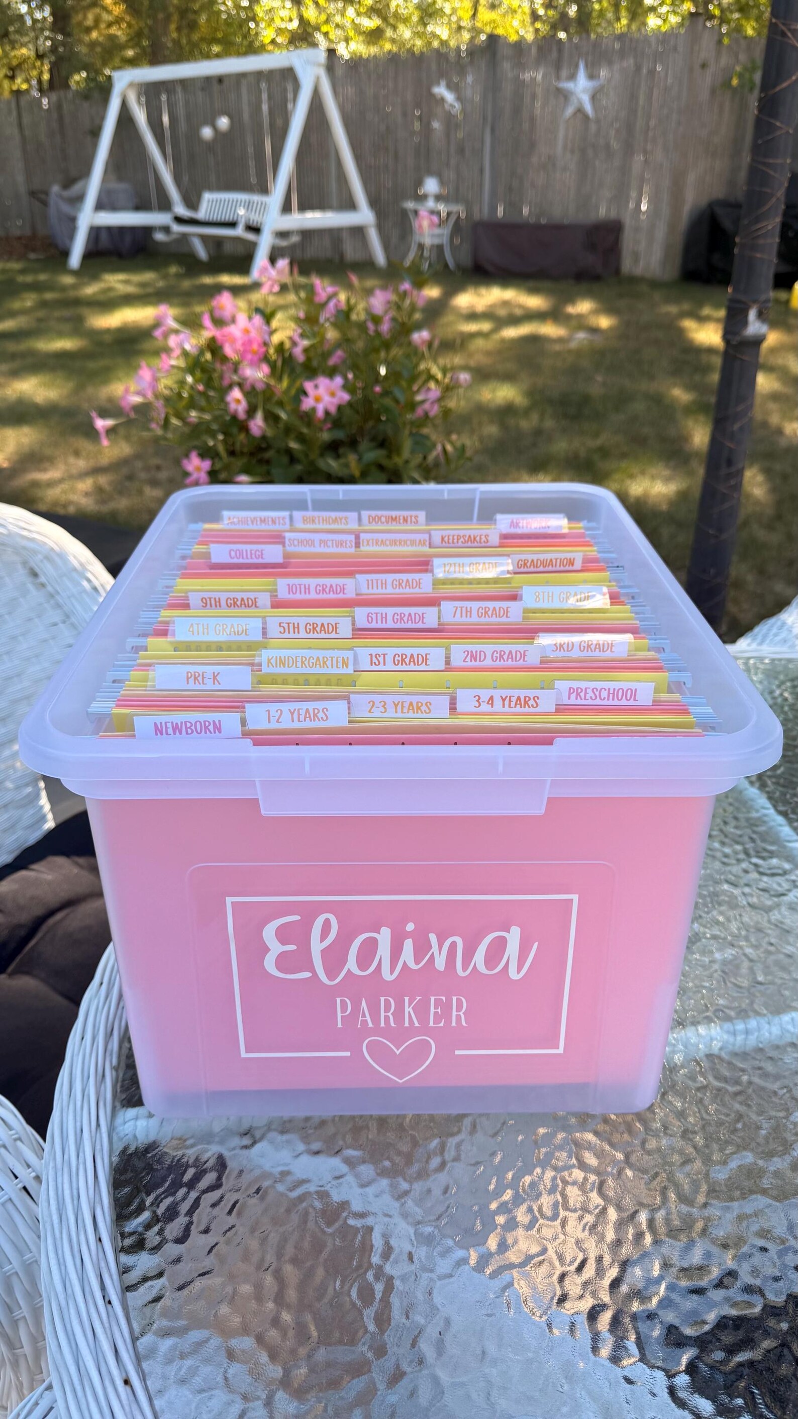 Personalized Milestone + Memory Organizer, Child File Bin, Tote ...