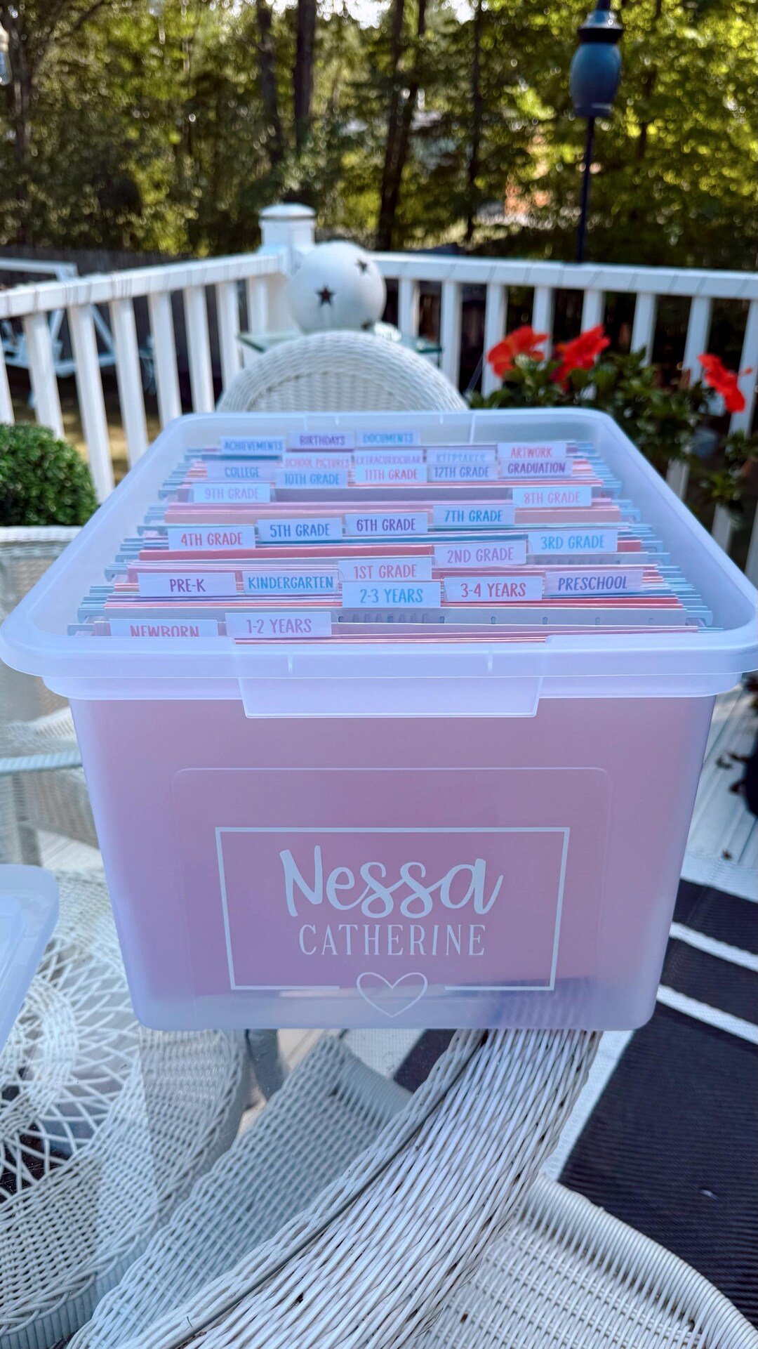 Personalized Milestone + Memory Organizer, Child File Bin, Tote ...