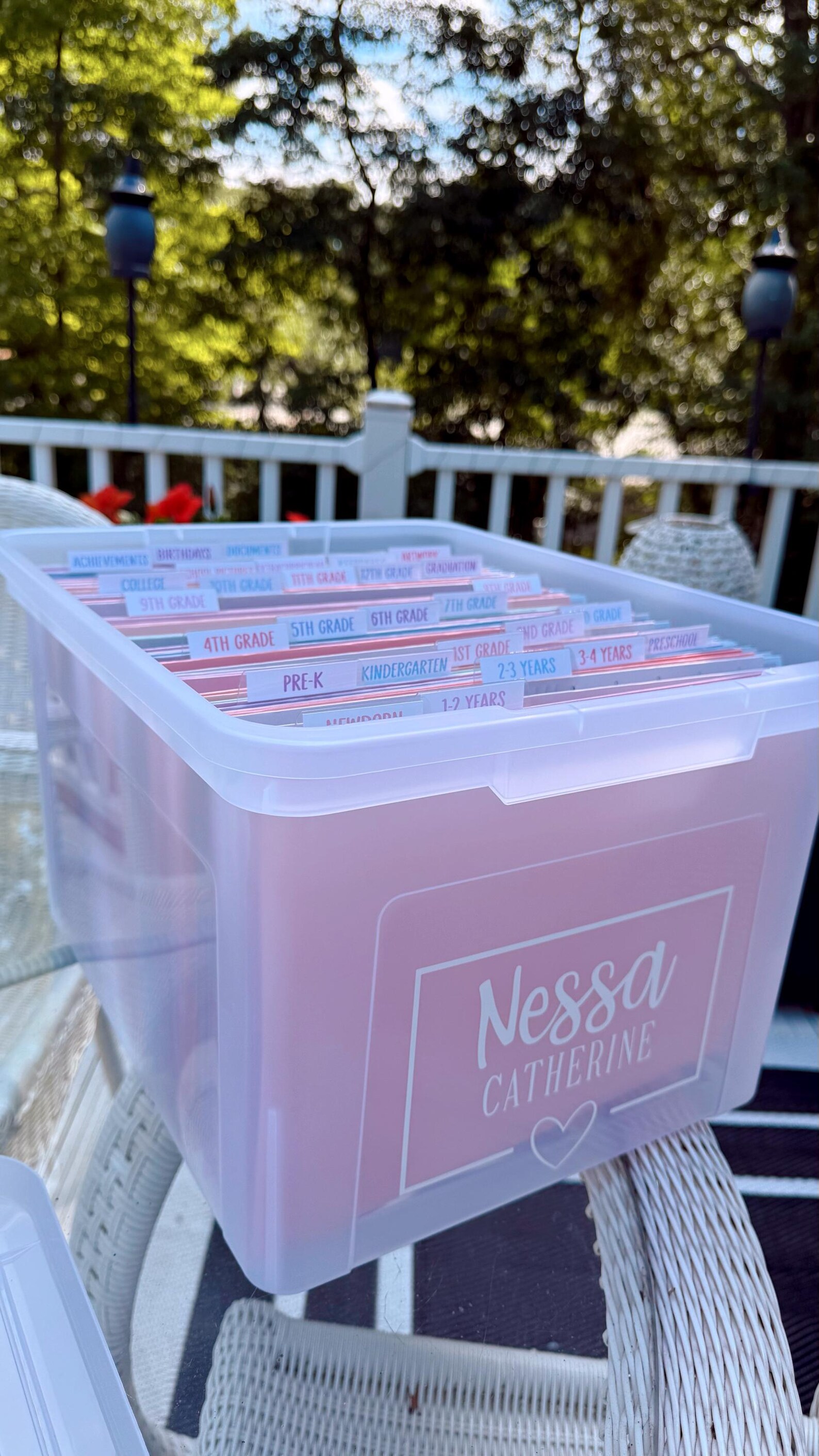 Personalized Milestone + Memory Organizer, Child File Bin, Tote ...