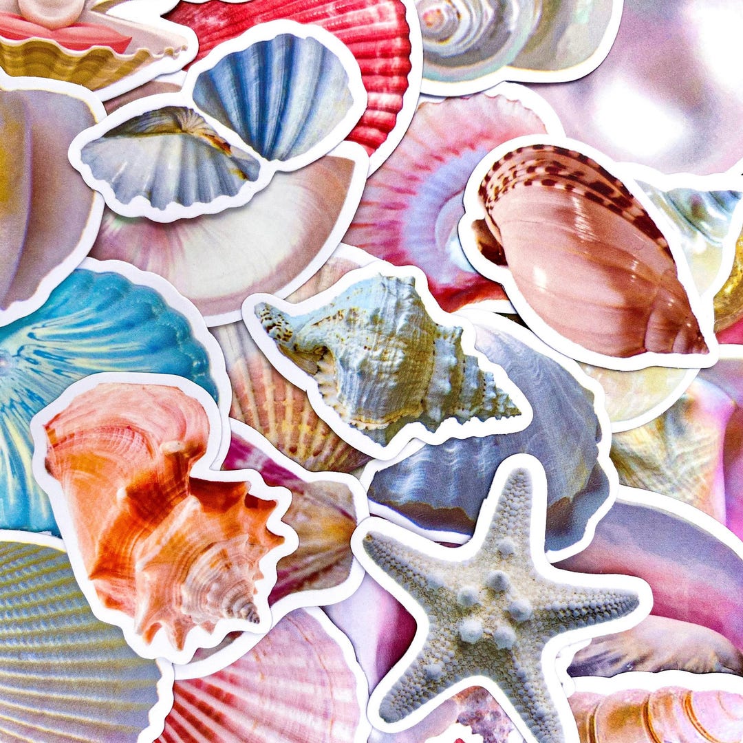 50PCS Beach Themed Stickers, Seashell & Starfish Stickers, Colorful ...