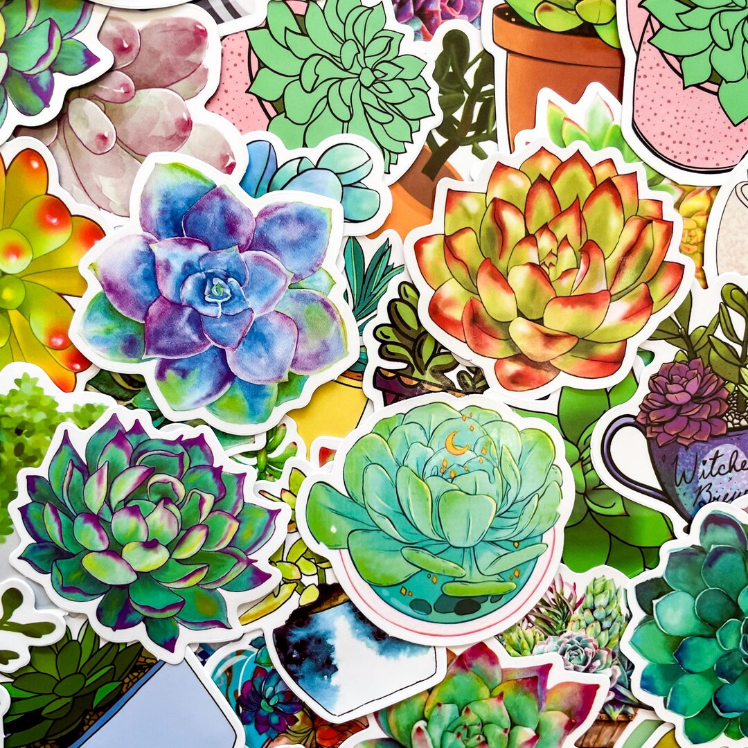 50 Random Succulent Stickers, Cute Plant Stickers, Botanical Succulent ...