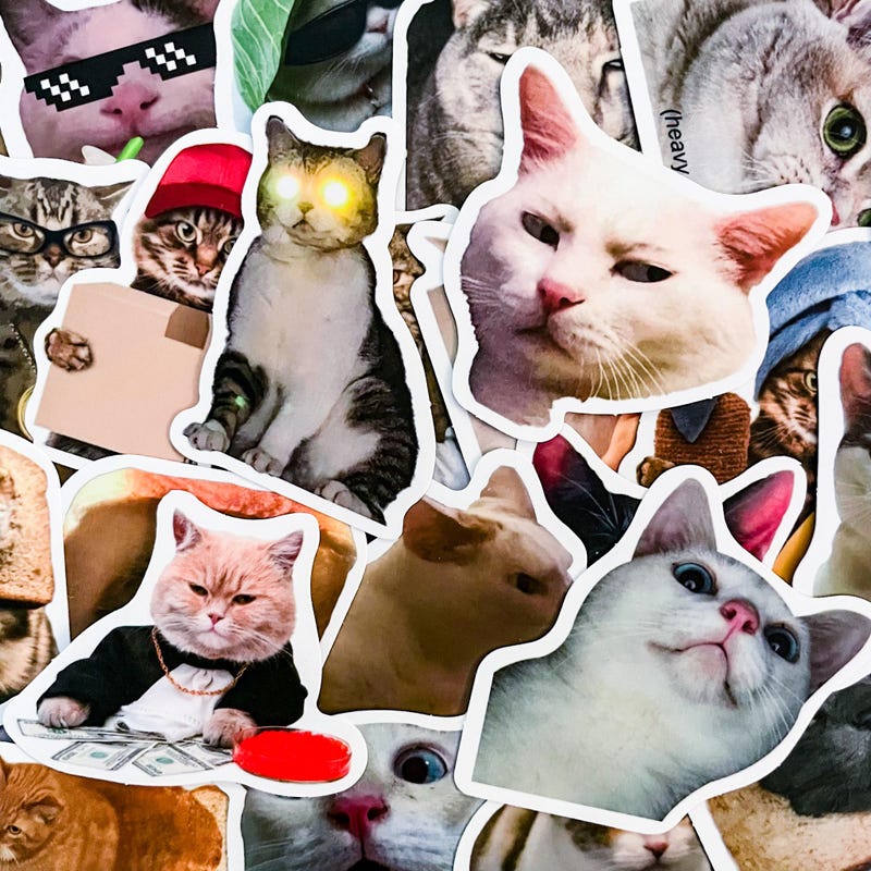 Cat Meme Stickers - Etsy