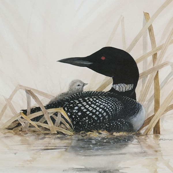 Loon Painting - Etsy