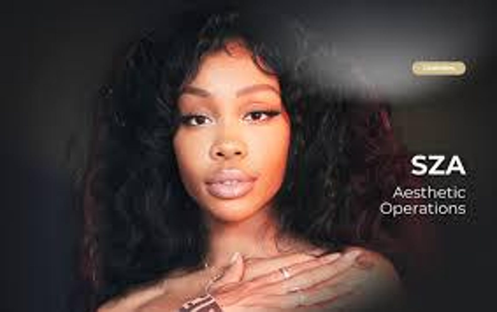 SZA Aesthetic Banner, SZA Room Decor Poster, SZA Iphone/ipad Custom ...