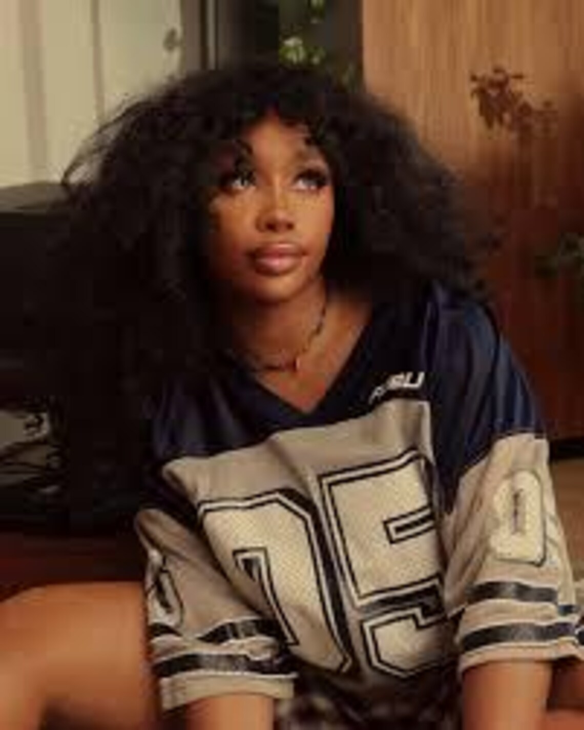 SZA Aesthetic Banner, SZA Room Decor Poster, SZA Iphone/ipad Custom ...