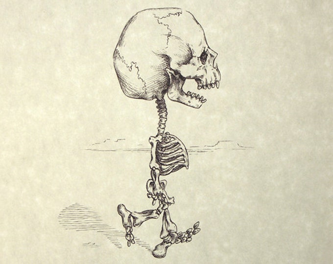 Barney Skeleton Print 8x10 - Etsy Canada