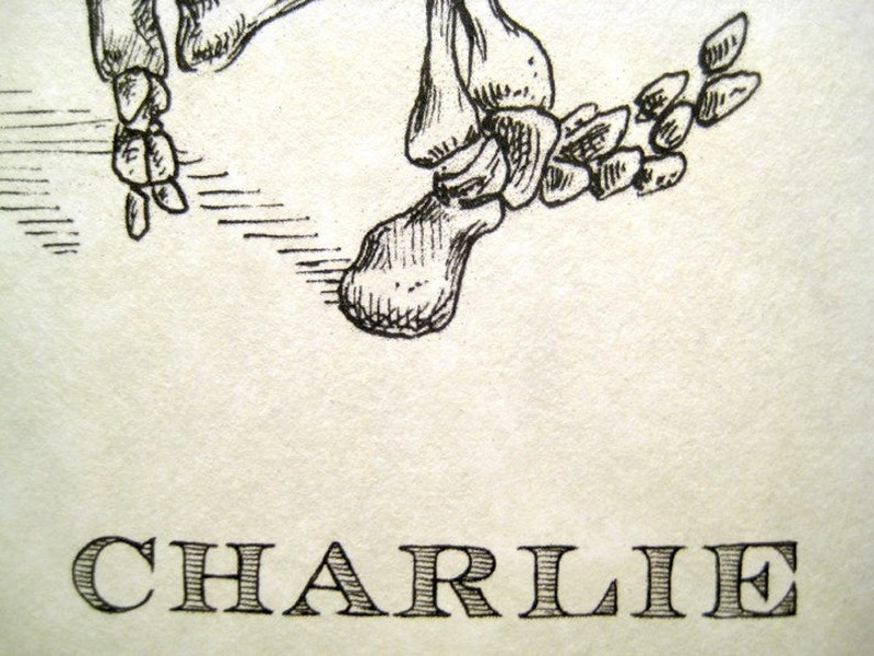 Charlie Brown Skeleton Print 8x10 - Etsy