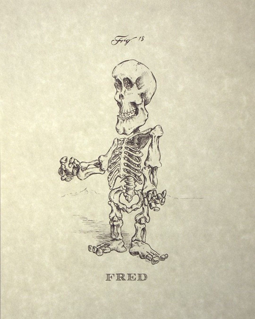 Fred Flinstone Skeleton Print 8x10 - Etsy