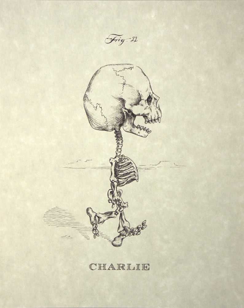 Charlie Brown Skeleton Print 8x10 - Etsy