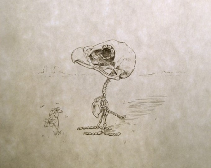 Barney Skeleton Print 8x10 - Etsy Canada