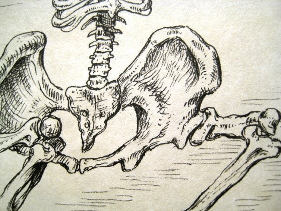 Shmoo Skeleton Print 8x10 - Etsy