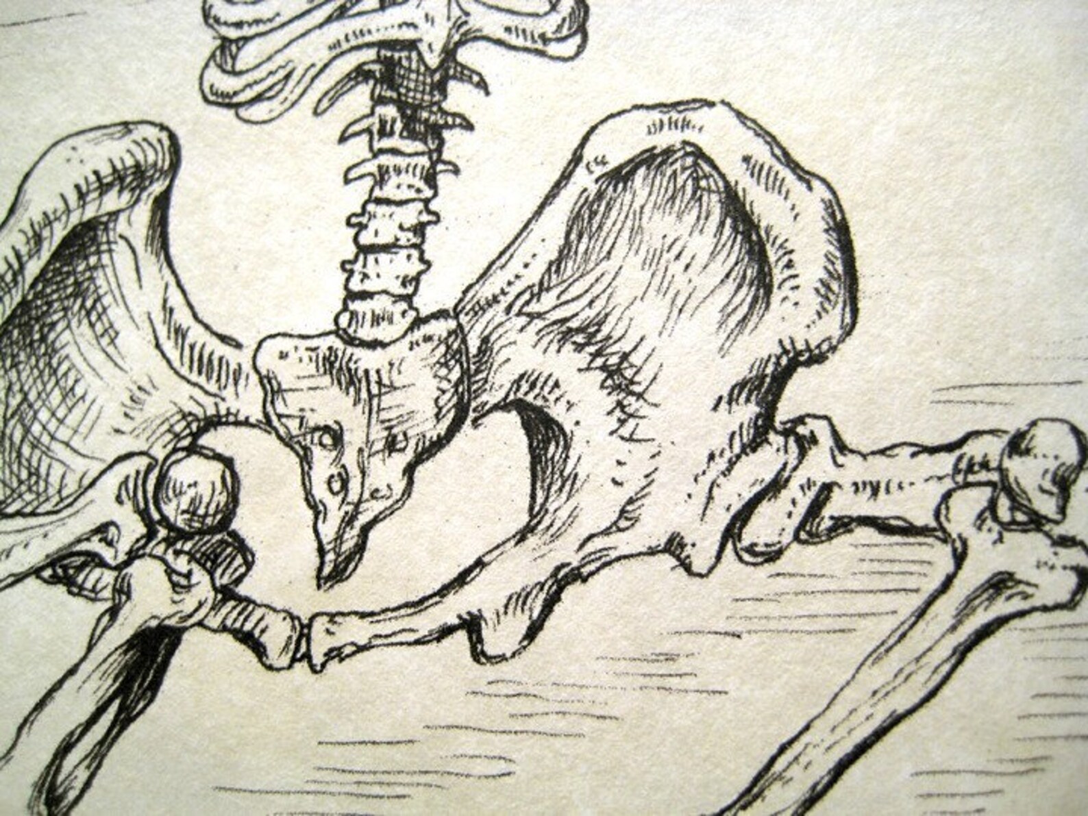 Shmoo Skeleton Print 8x10 - Etsy