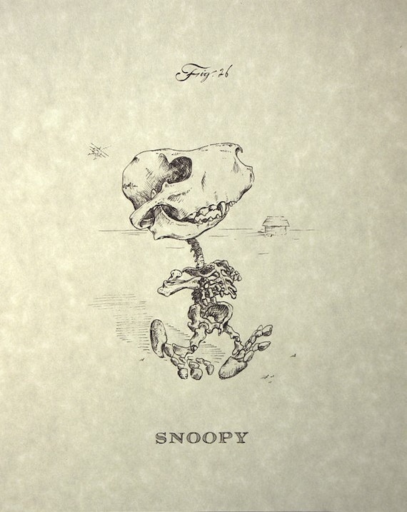 Snoopy Skeleton Print 8x10 | Etsy