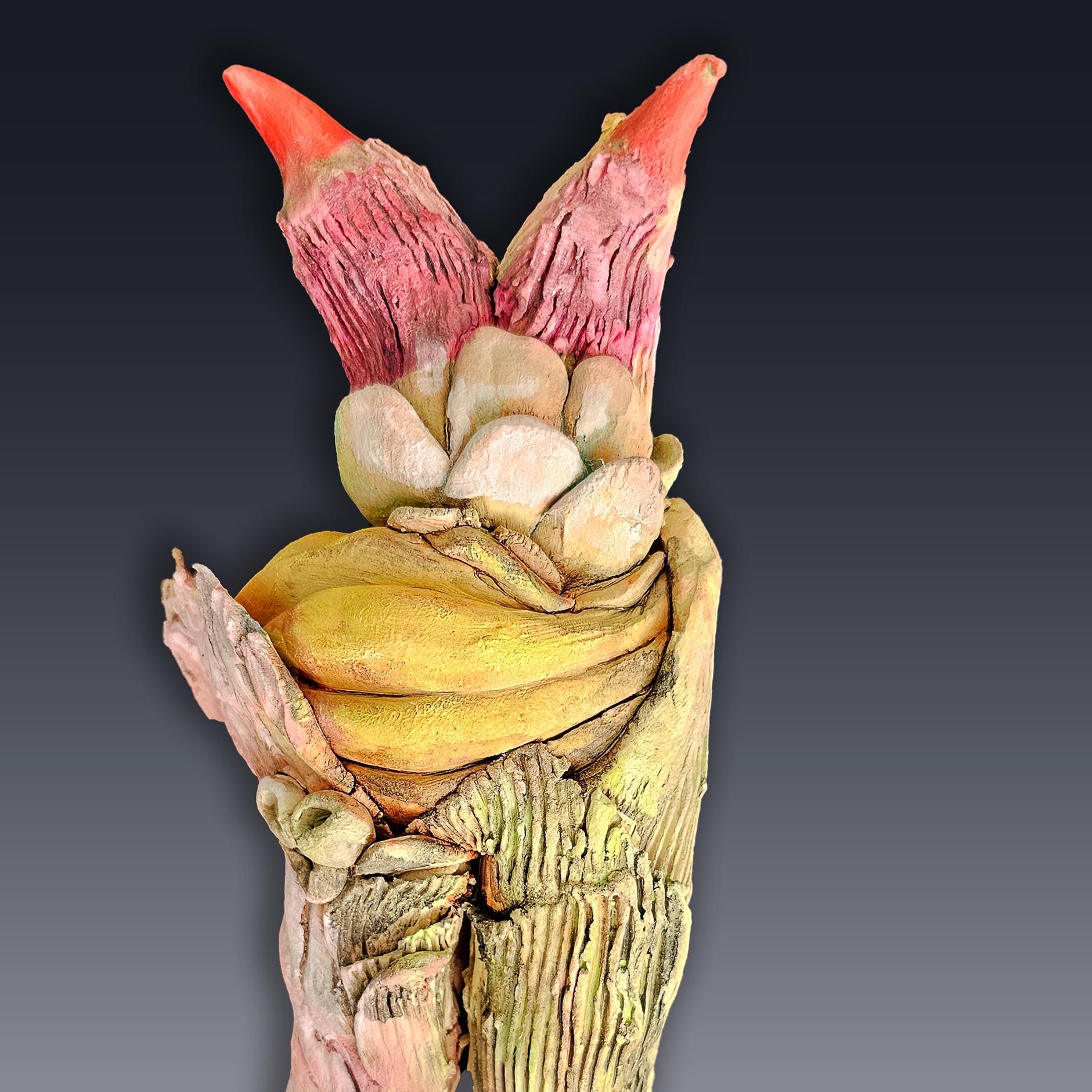 Coral Sea Creature Ceramic Sculpture by Artist Victoria Rose Martin - Etsy