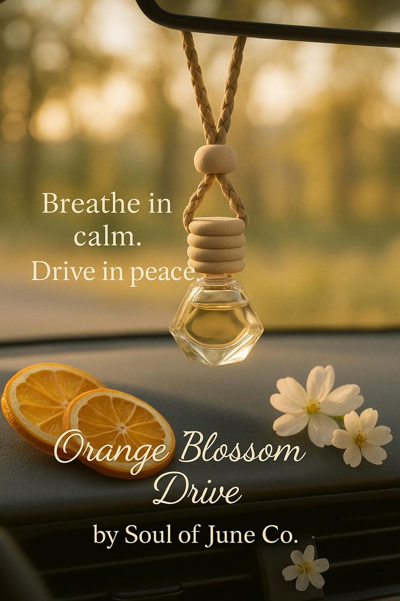 Orange Blossom Drive Car Diffuser | Essential Oil Hanging Air Freshener | Natural Scent for Car ...