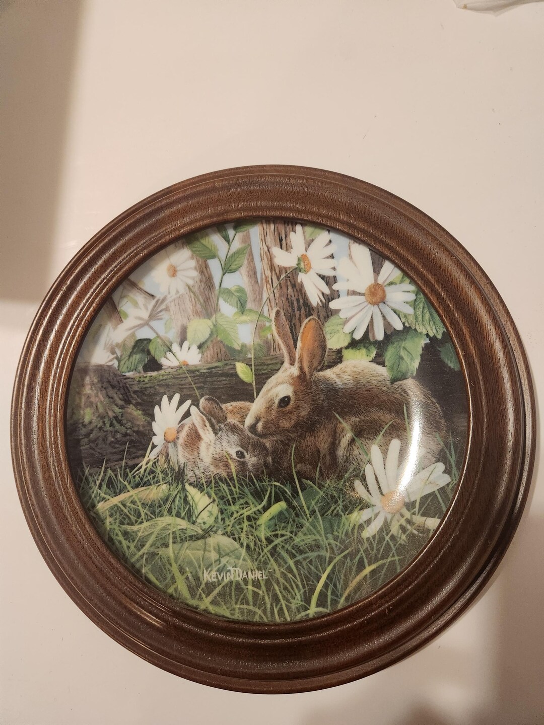 The Rabbit by Kevin Daniel, First Issue, Edwin M. Knowles, Wall Hanging ...