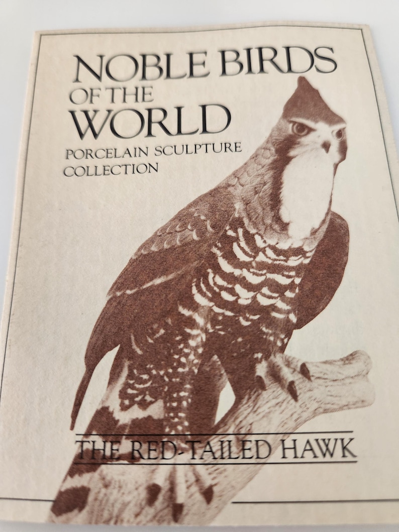 The Red-tailed Hawk Porcelain Sculpture Collection by Franklin Mint - Etsy