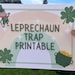 Leprechaun Trap Printable: St. Patrick's Day Kids Activity (instant ...