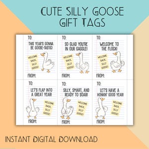 Silly Goose Welcome Back Student Cards: First Day of School Desk Notes ...