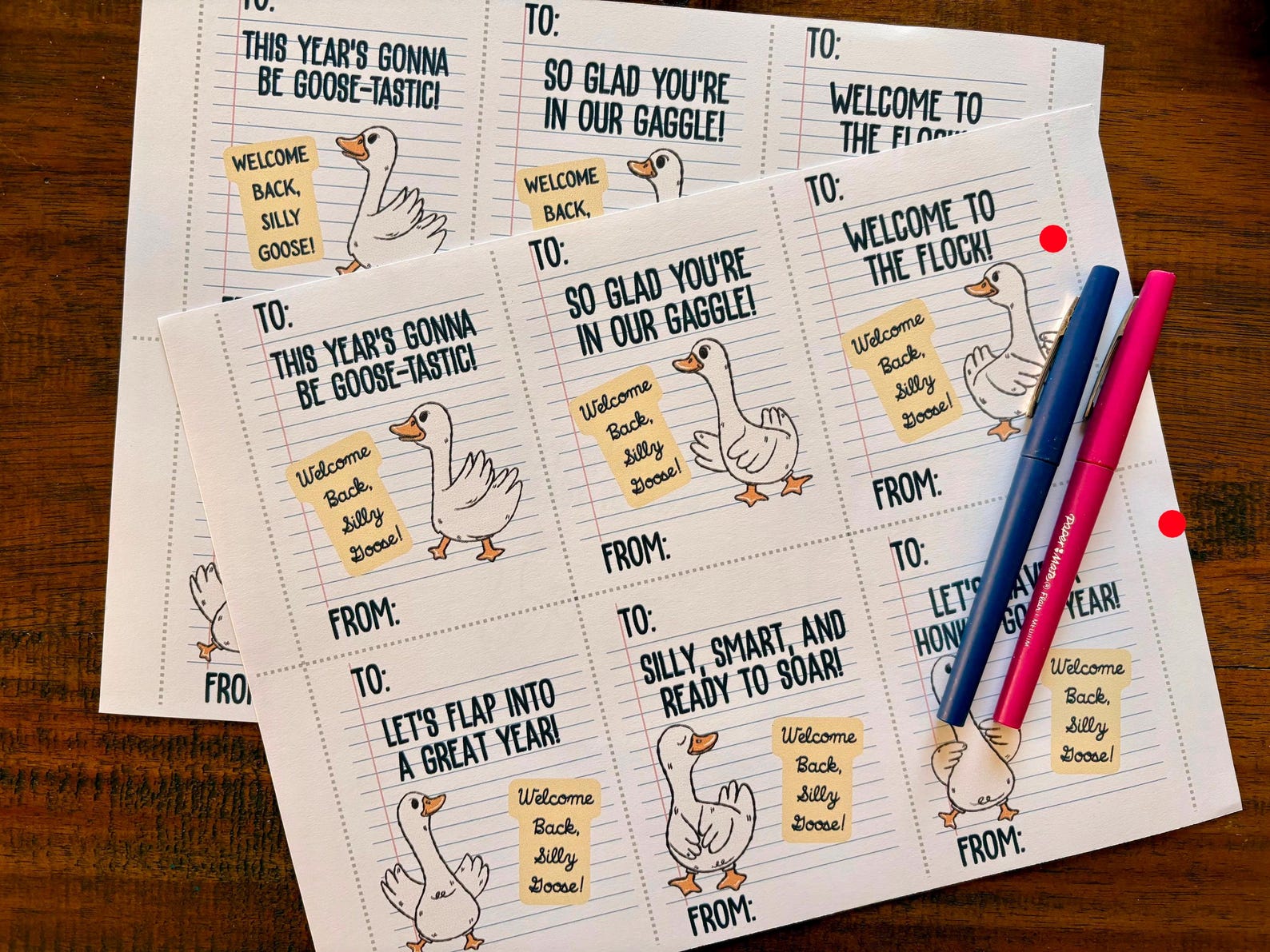 Silly Goose Welcome Back Student Cards: First Day of School Desk Notes ...