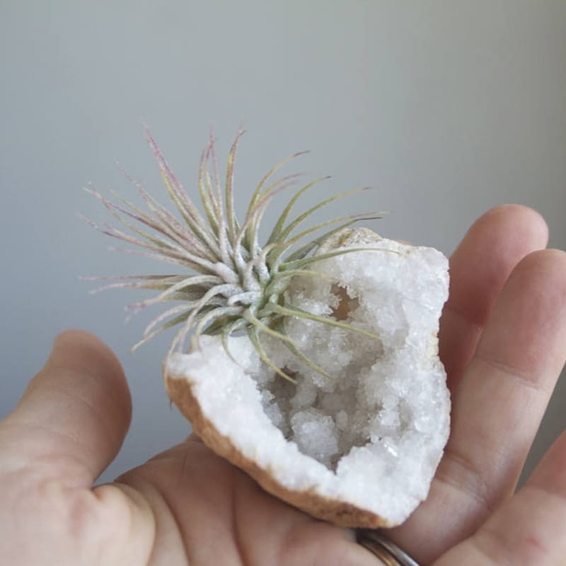 Geode Planter Pot - Etsy