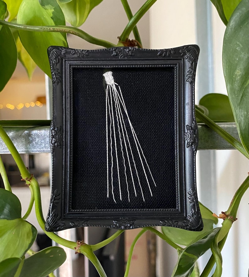 Magnapinna Bigfin Squid Hand Embroidery Art in Black Magnetic Miniature ...