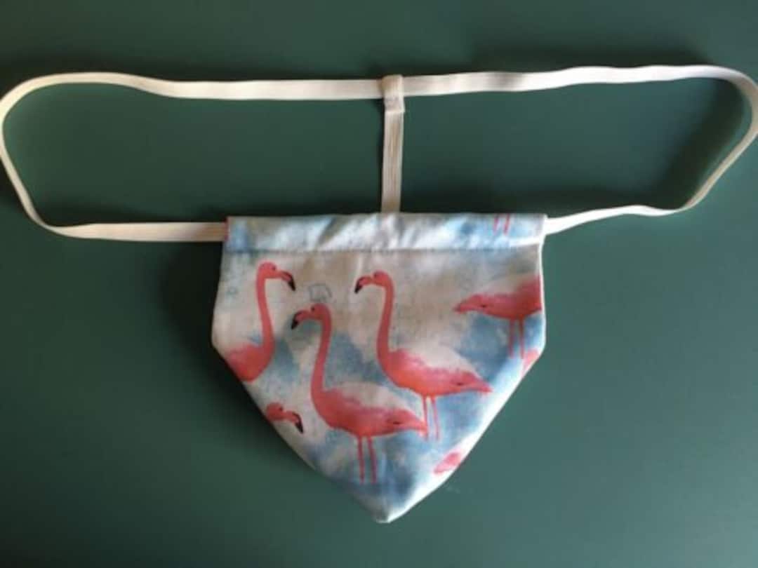 Mens PINK FLAMINGO String Thong Male Bird Zoo Underwear - Etsy