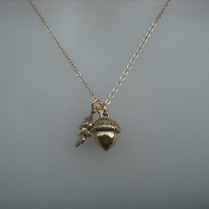 14k Gold Filled Chain - a Little Acorn Necklace - Etsy