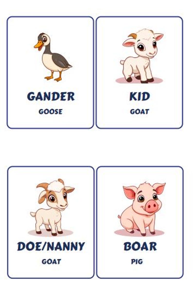 Printable Flashcards | Cute Farm Animal | Male, Female and Young ...
