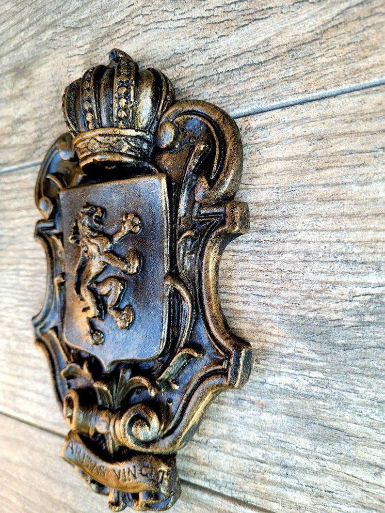 Lion Shield Wall Plaque | PICK YOUR COLOR | Wall Decor | Medieval | Old ...