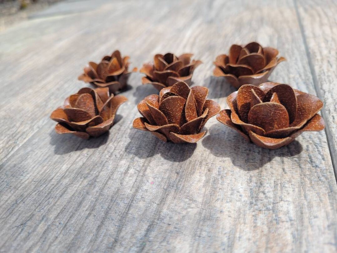 Small Metal Roses | Set of 6 | Rusty Roses | Rustic | Farmhouse | FREE ...