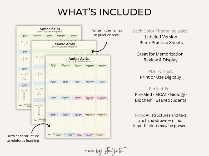 Amino Acid Poster Digital Download – Study Sheet for Biochemistry, MCAT ...