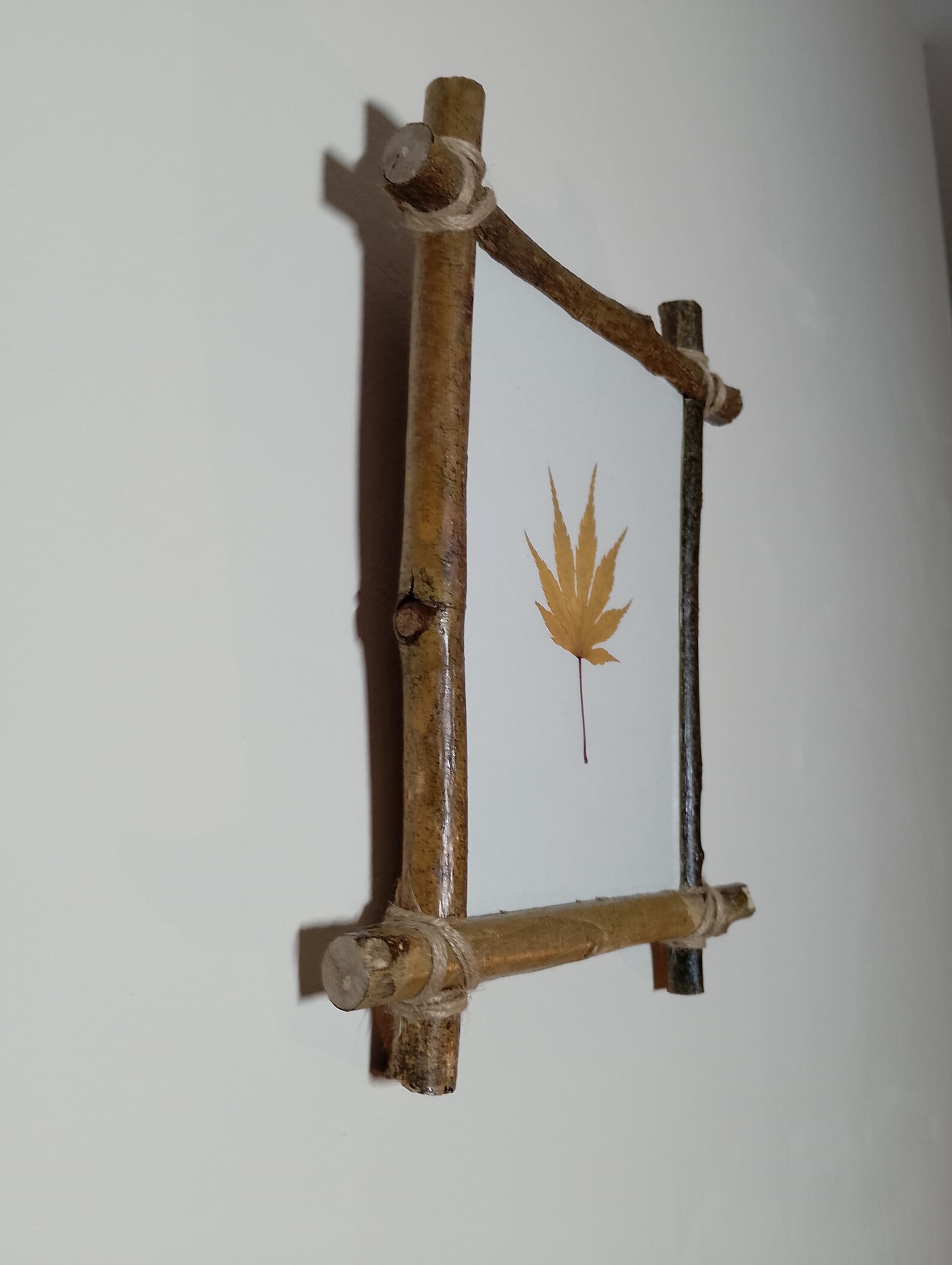 Handmade Composition. Wooden Handmade Frame With a Natural Dried ...