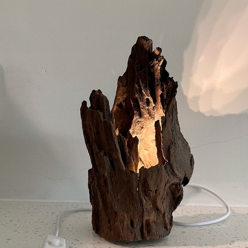 Driftwood Lamp - Etsy