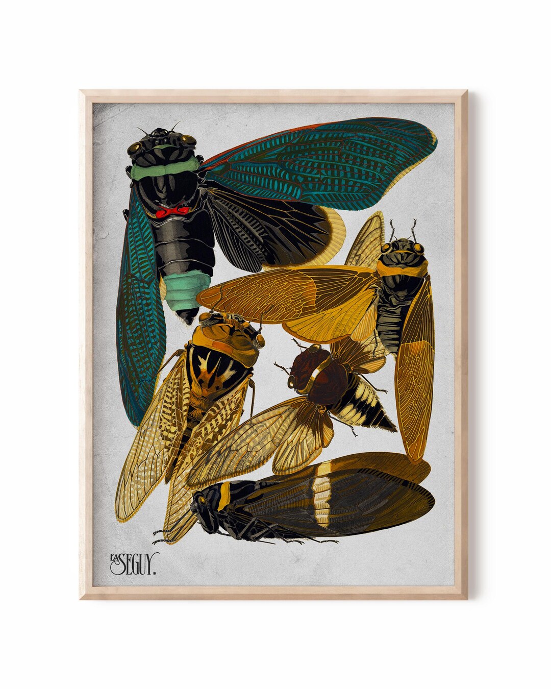 Insects Vintage Cicadas Print - Insect Poster Larousse, Living Room ...