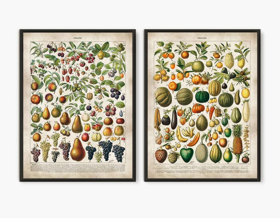 Fruit Print, Fruit Poster, Fruits Poster, Fruit Wall Decor, Botany ...