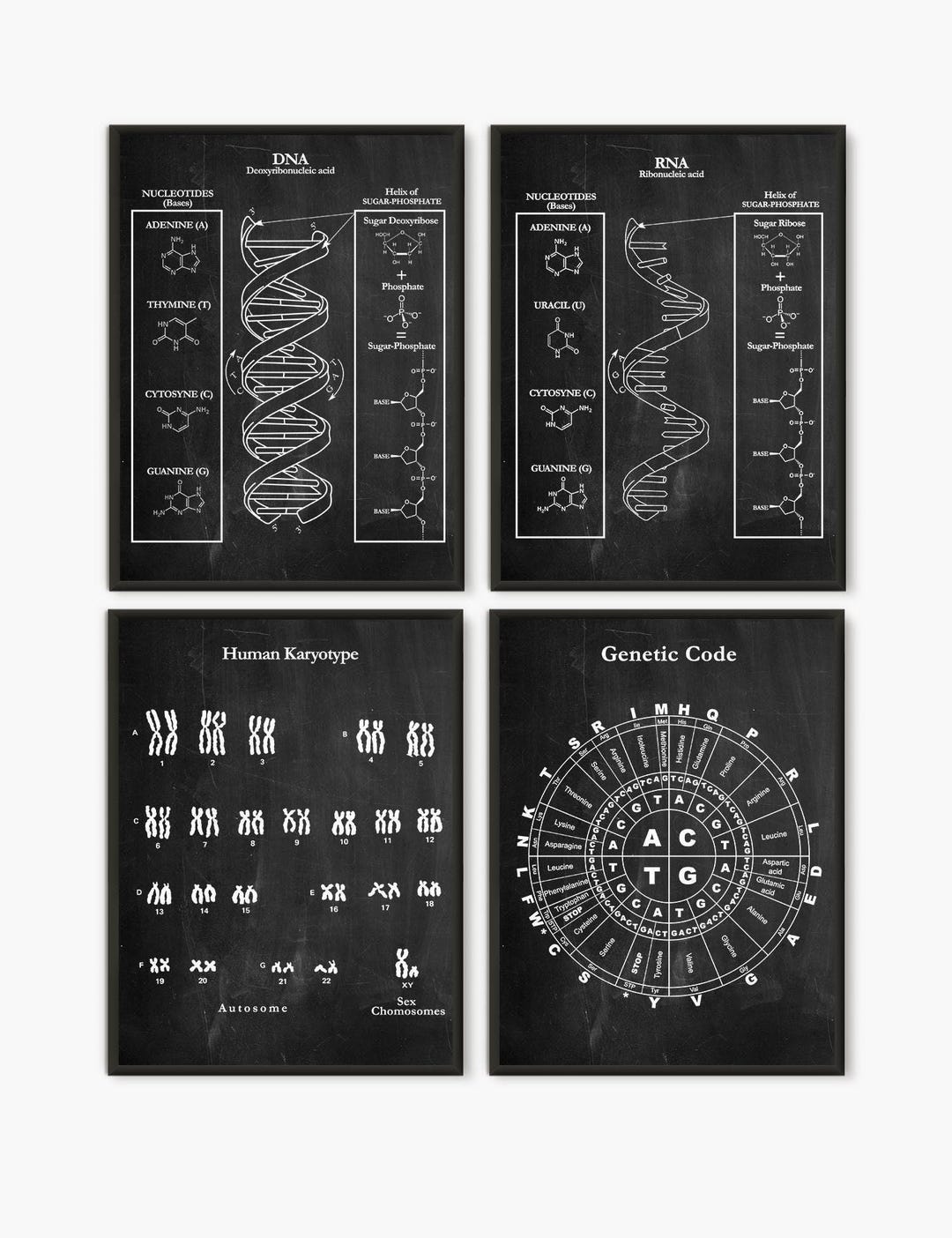 Dna Wall Art, Set of 4,dna Molecule, Rna Molecule, Science Art, Medical ...