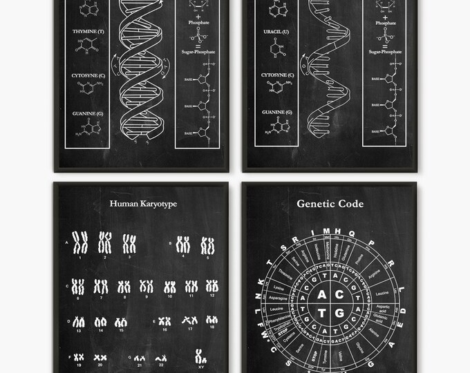Dna Wall Art, Set of 4,dna Molecule, Rna Molecule, Science Art, Medical ...