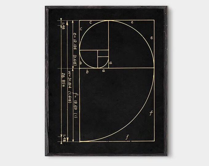 Fibonacci Spiral, Golden Ratio, Fibonacci Sequence, Fibonacci,gold ...