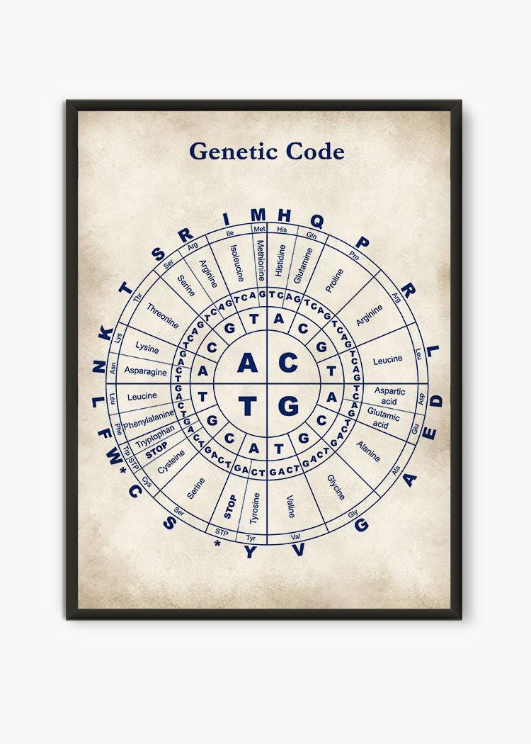 Genetic Code, Science Poster, Gift for Scientist, Medical Art, Biology ...