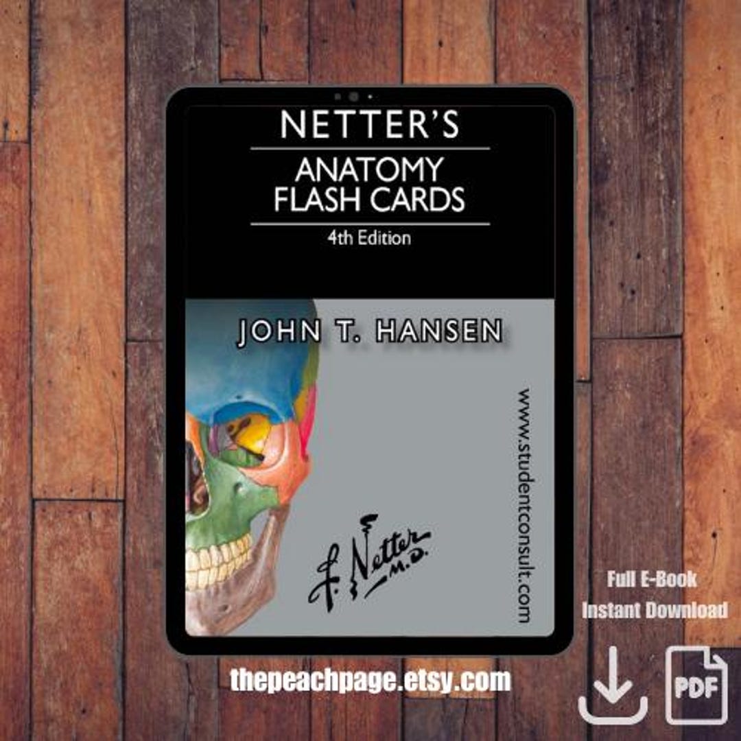 Netter's Anatomy Flash Cards Fourth 4th Edition 4e - Etsy