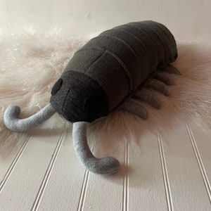 Pill Bug Plush, Potato Bug, Roly Poly Bug - Etsy