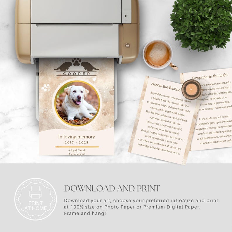 Pet Memorial Keepsake Photo Card, Rainbow Bridge Dog Remembrance ...