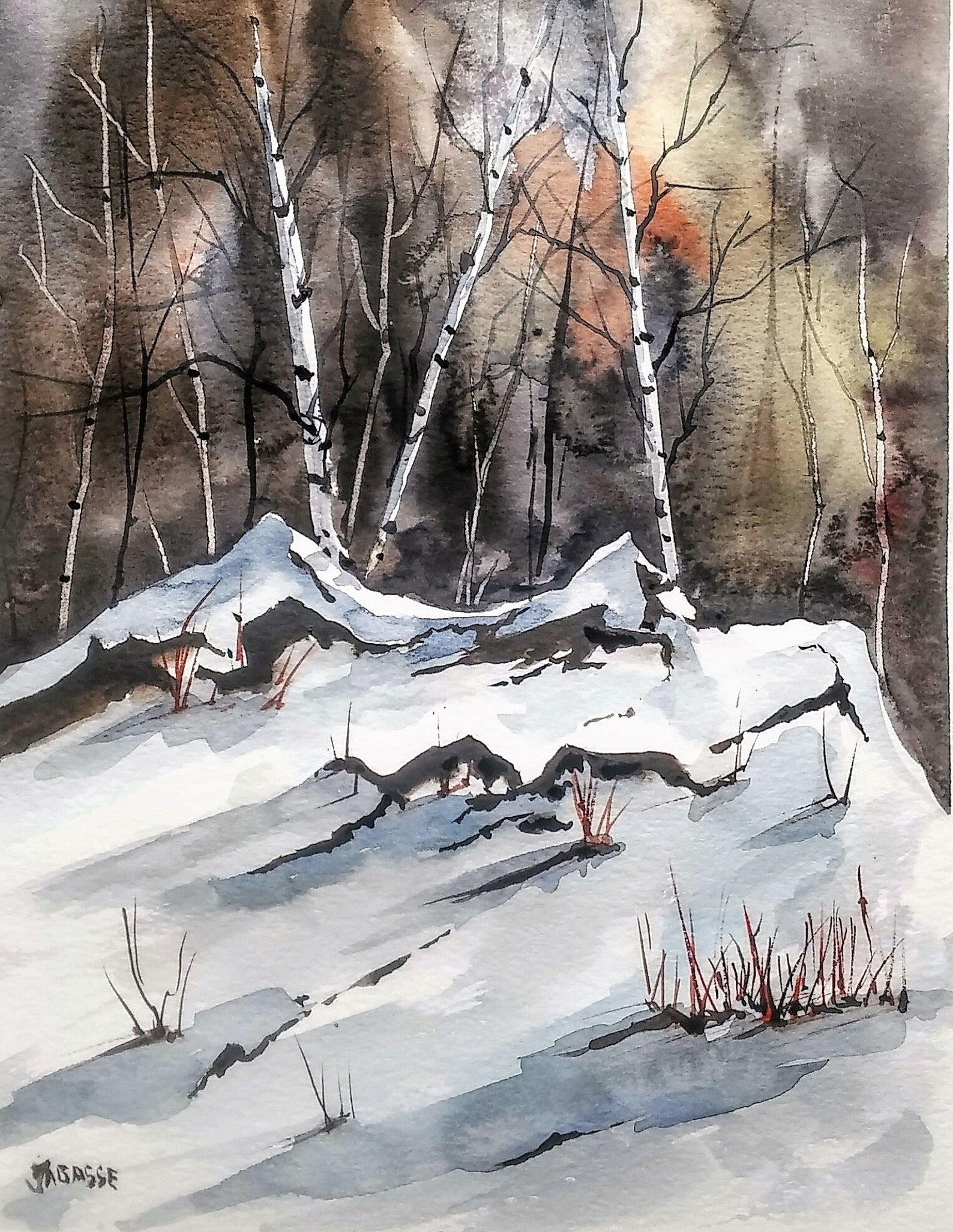 Original Watercolour Painting by Jim Lagasse Silver Birch - Etsy